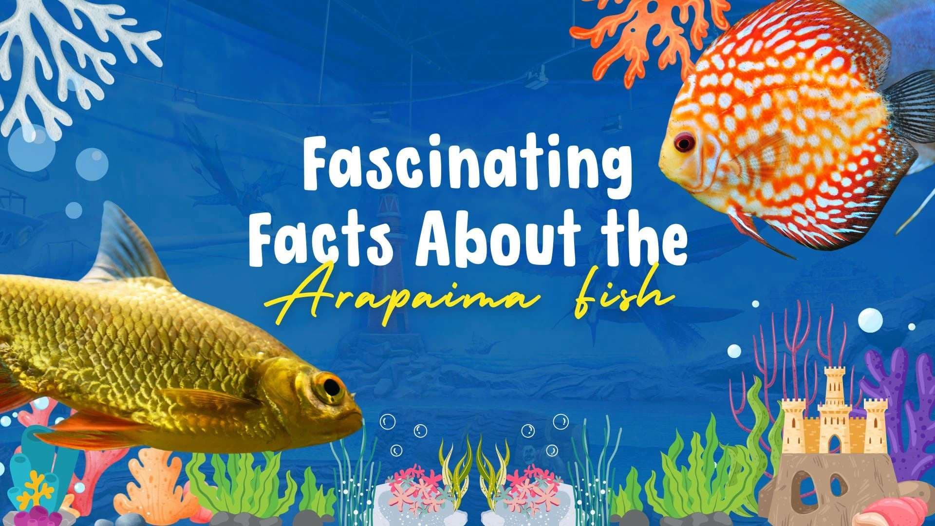 Fascinating Facts About the Arapaima Fish