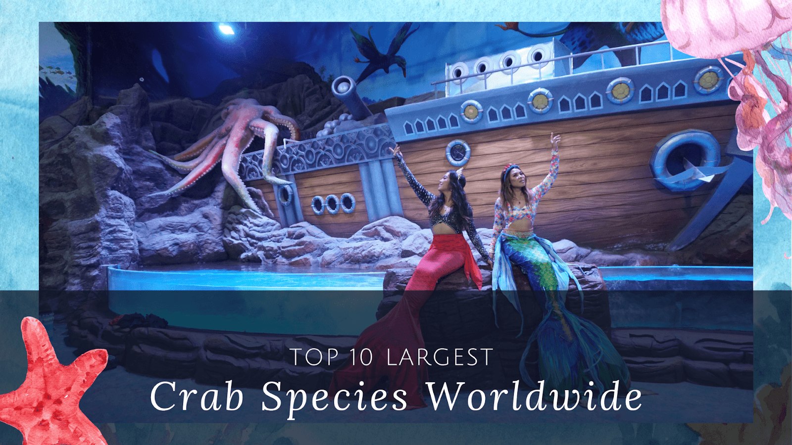 The Importance of Aquarium: Health, Education, and Conservation Benefits